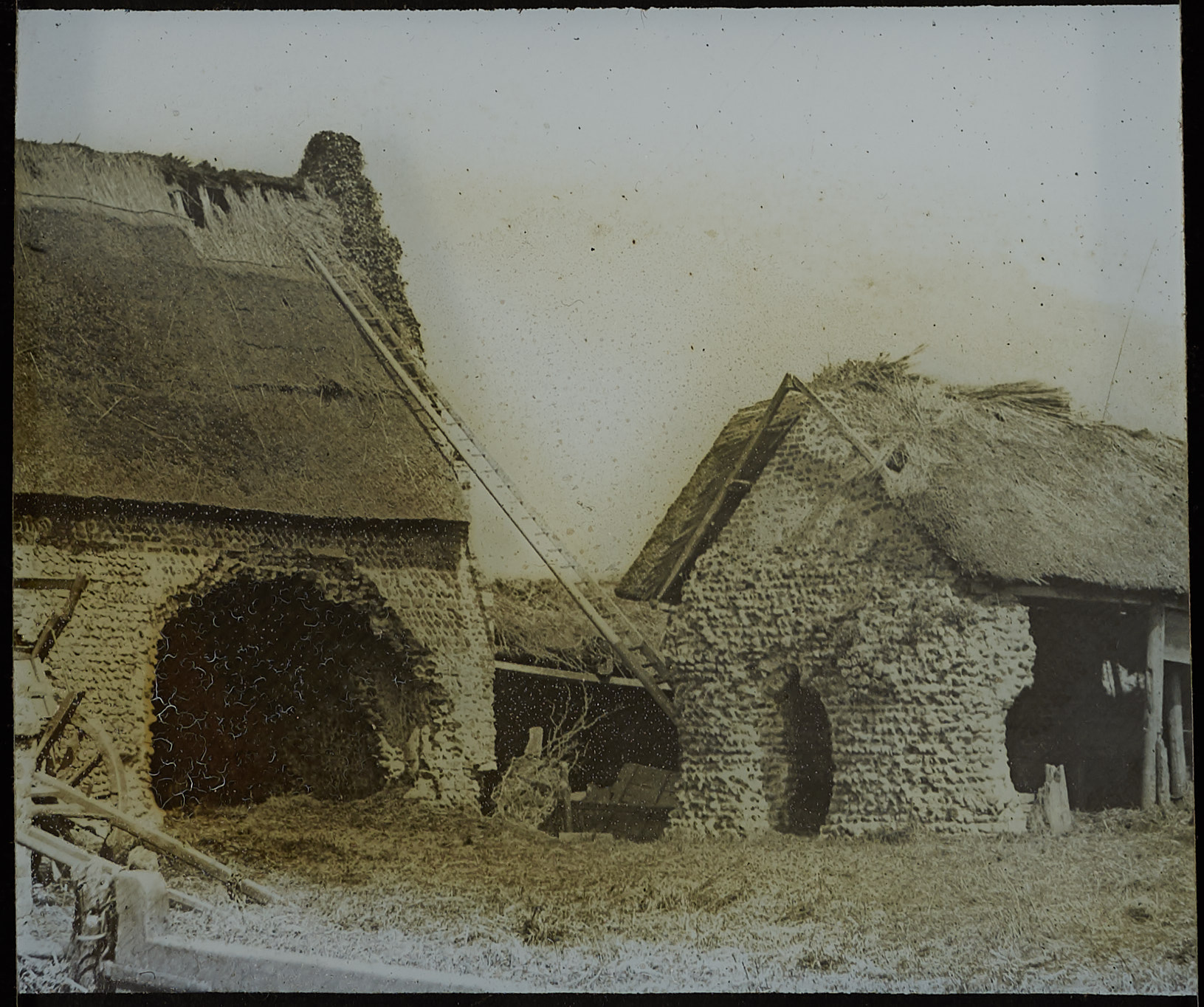 The Mad Monk of Hickling Priory | Norfolk Record Office